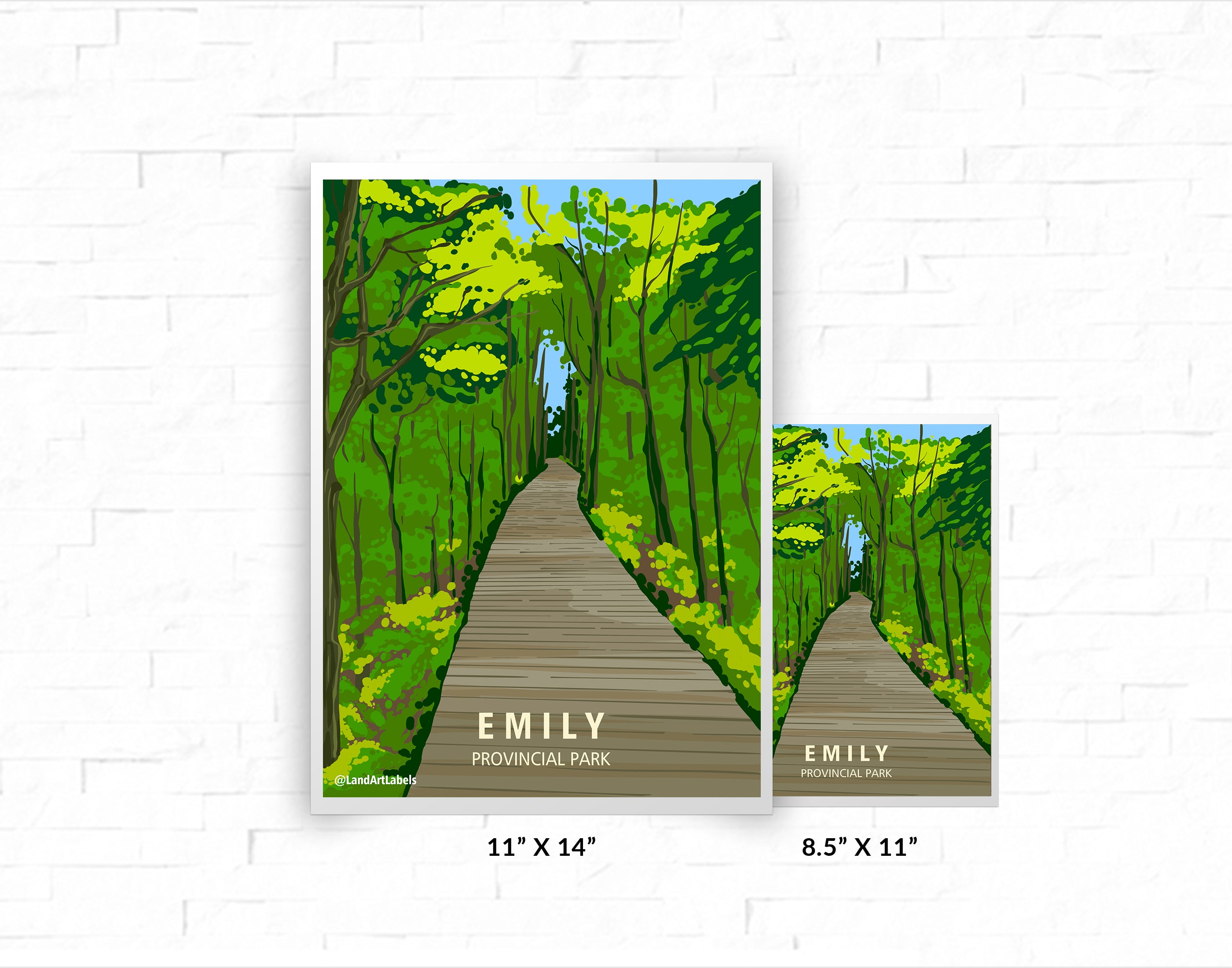 Emily Provincial Park, Boardwalk - Poster – Land Art Labels